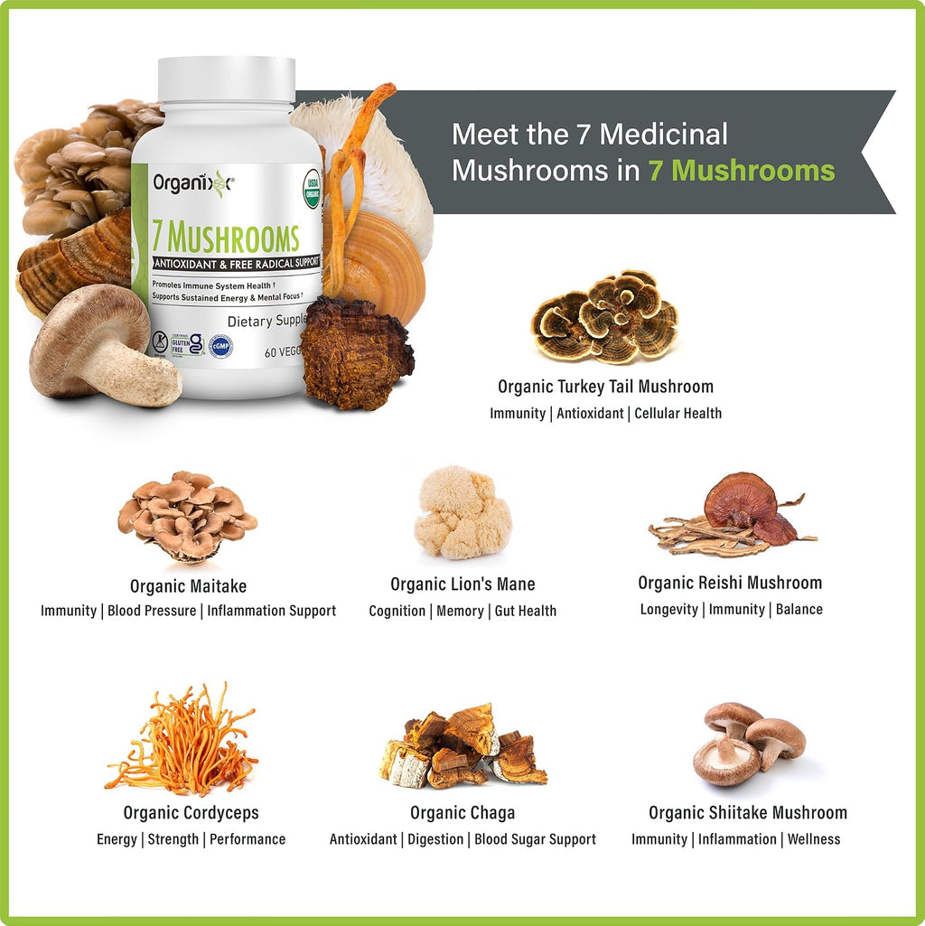 chaga mushroom for immune support