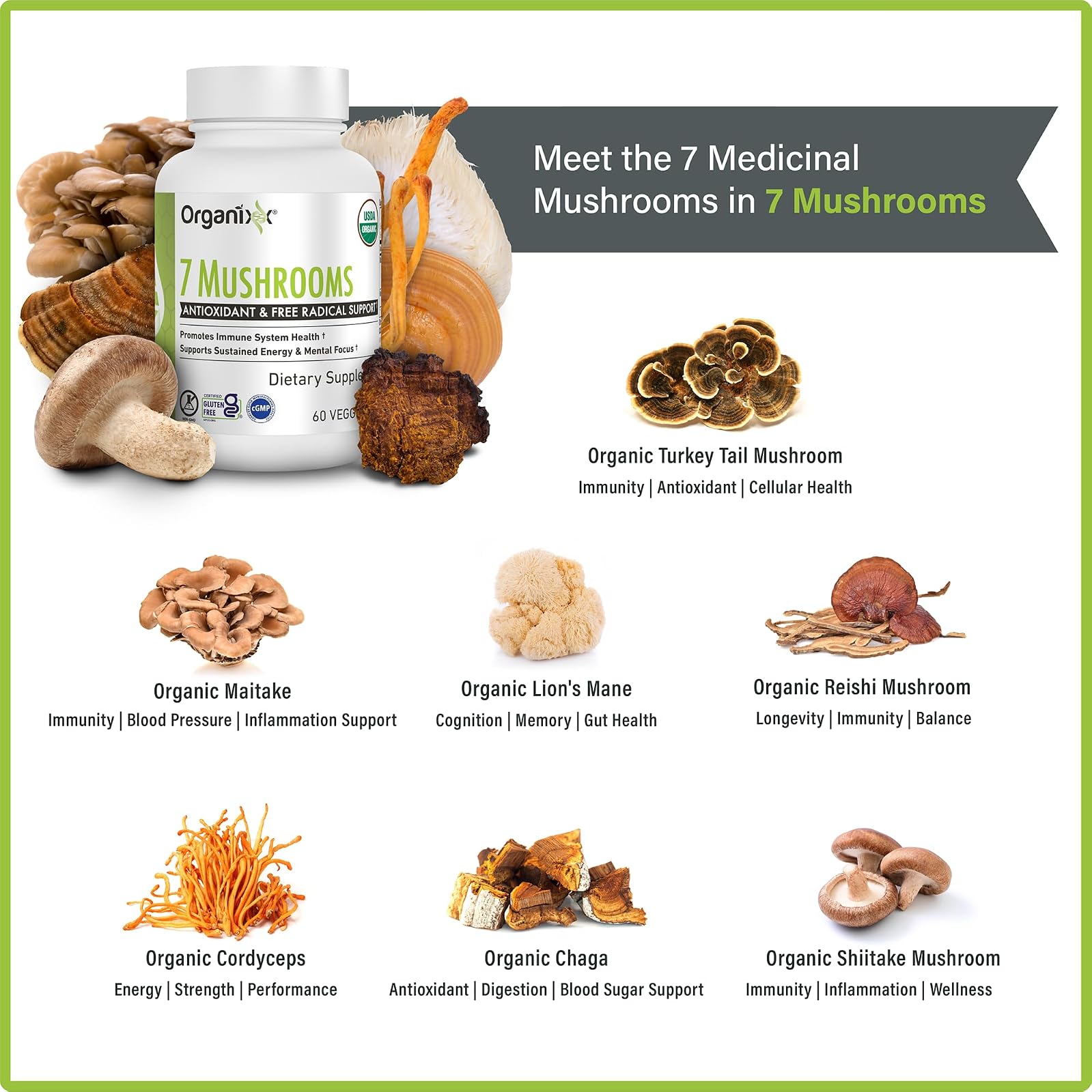 chaga mushroom for immune support