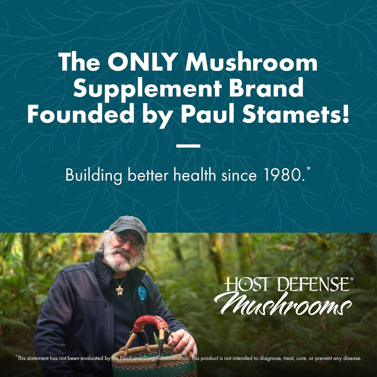 chaga mushroom for immune support