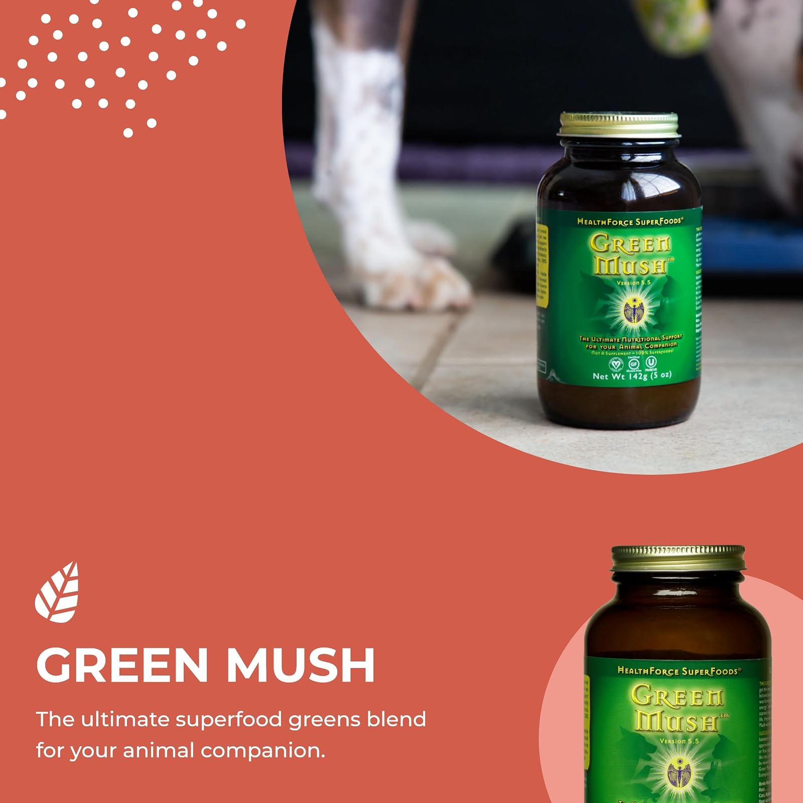 chaga mushroom for immune support