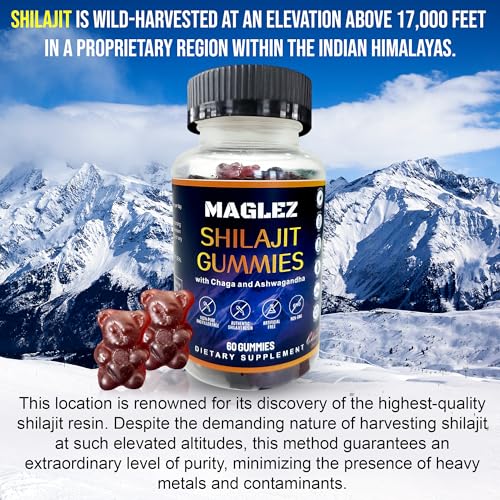 Chaga mushroom for immune support