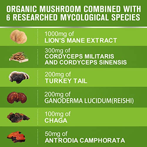 chaga mushroom for overall wellness