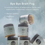 chaga mushroom for stress relief