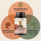 chaga mushroom for stress support