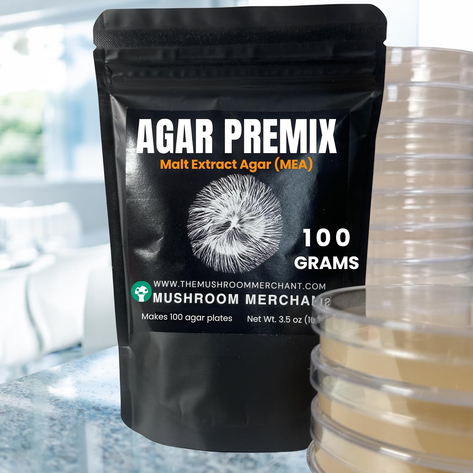 Chaga mushroom growth with malt extract