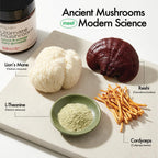Chaga mushroom gummies for energy boost