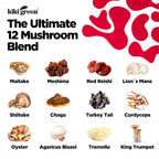 Chaga mushroom gummies for energy boost