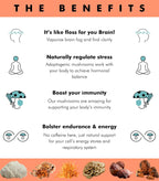 chaga mushroom gummies for energy boost