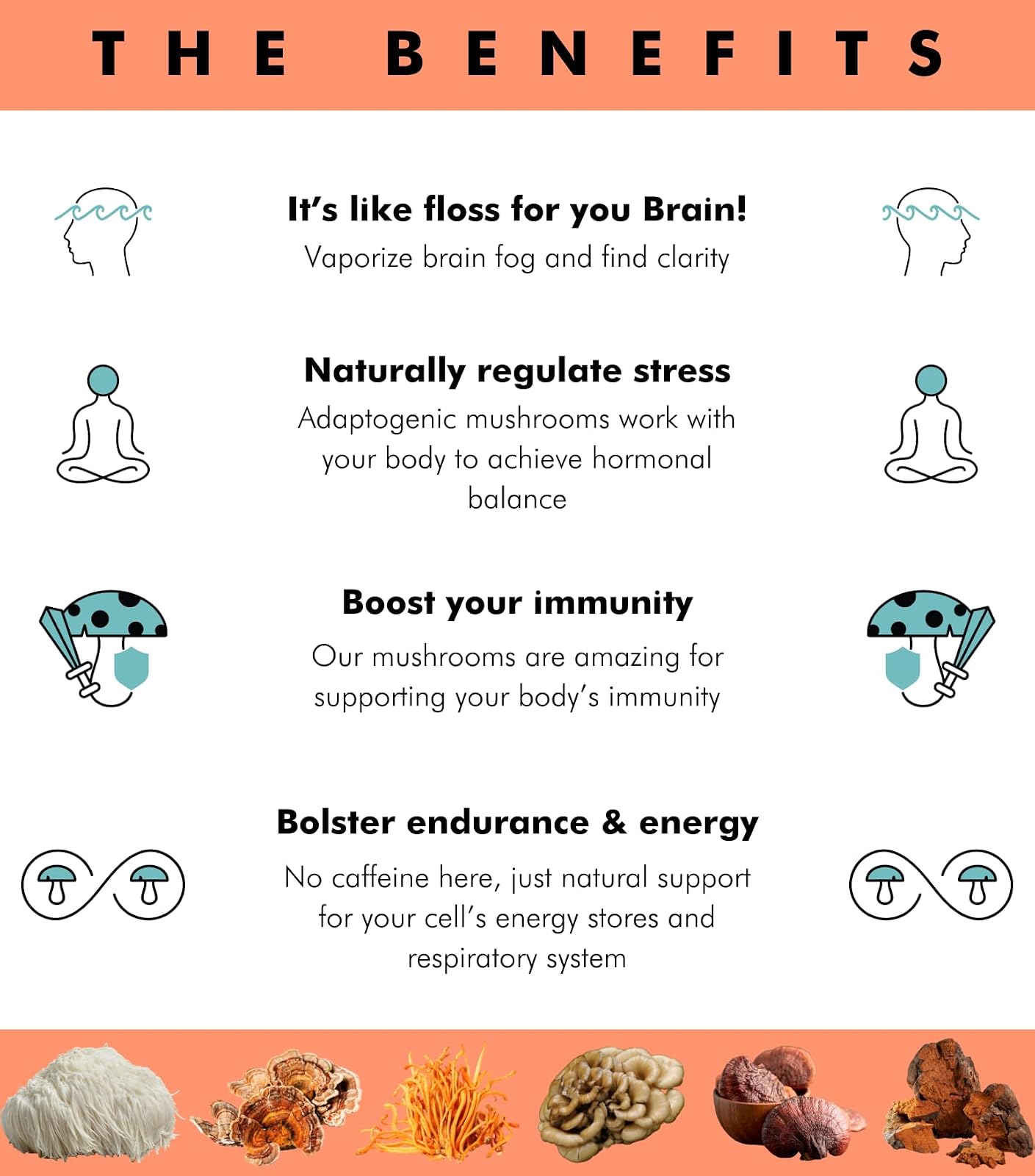 chaga mushroom gummies for energy boost