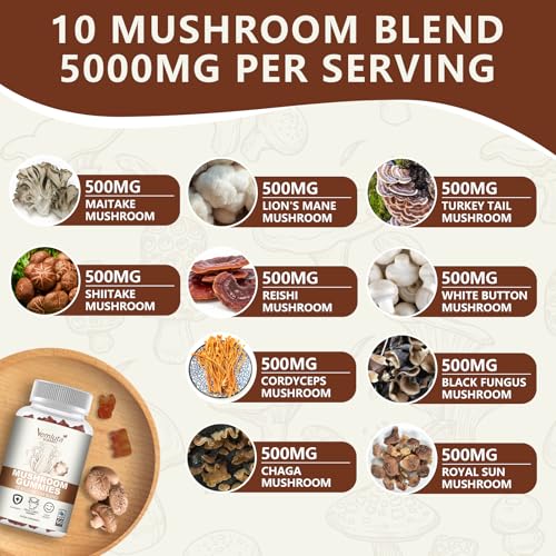 chaga mushroom gummies for energy boost