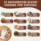 chaga mushroom gummies for energy boost