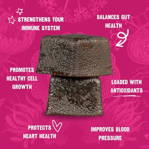 chaga mushroom gummies for health