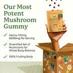 Chaga mushroom gummies for immune support