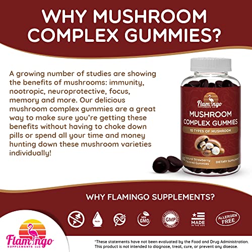 Chaga mushroom gummies for immune support