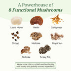 chaga mushroom gummies for wellness