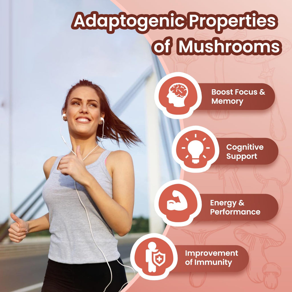 Chaga mushroom gummies for wellness