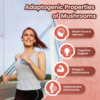 Chaga mushroom gummies for wellness