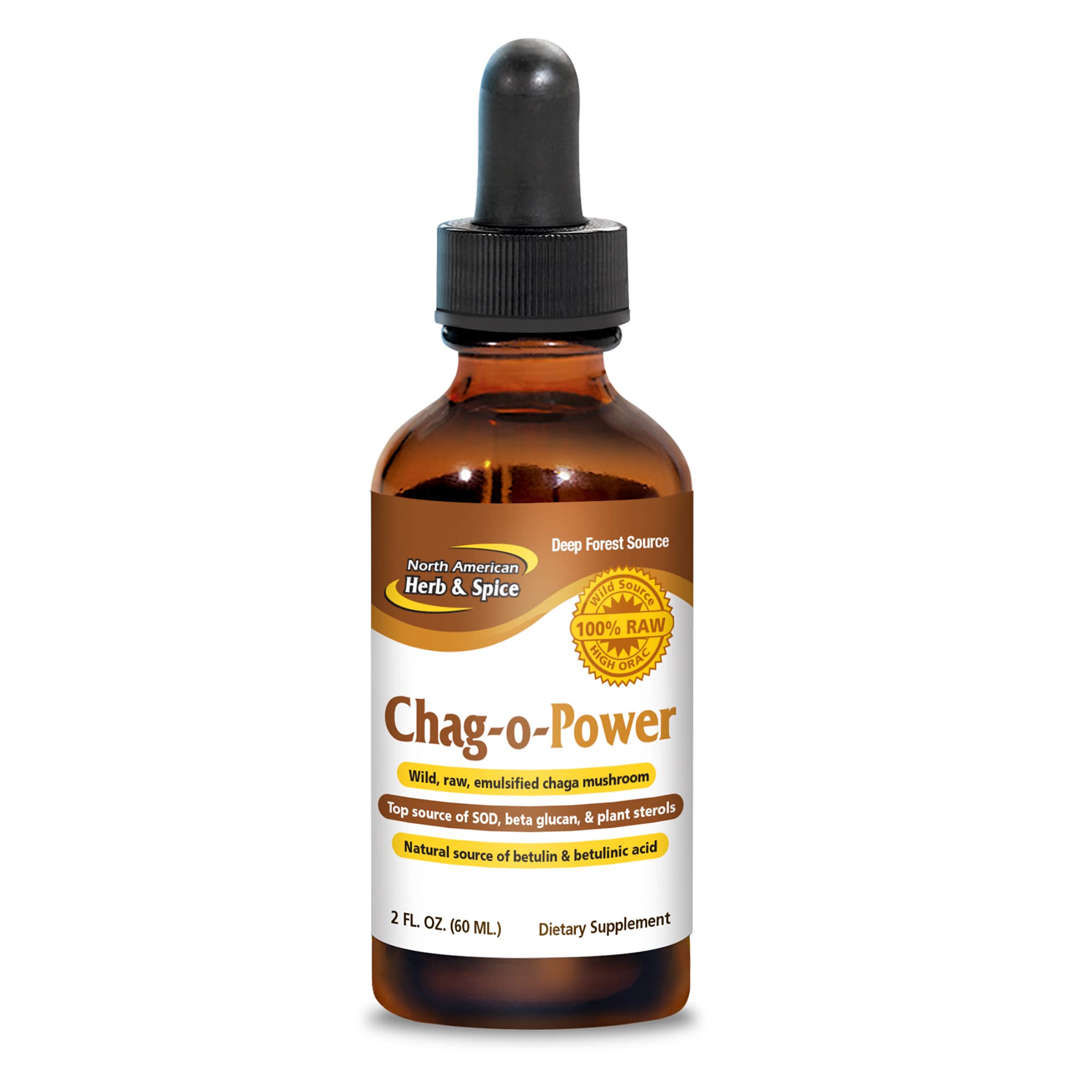 Chaga mushroom health benefits