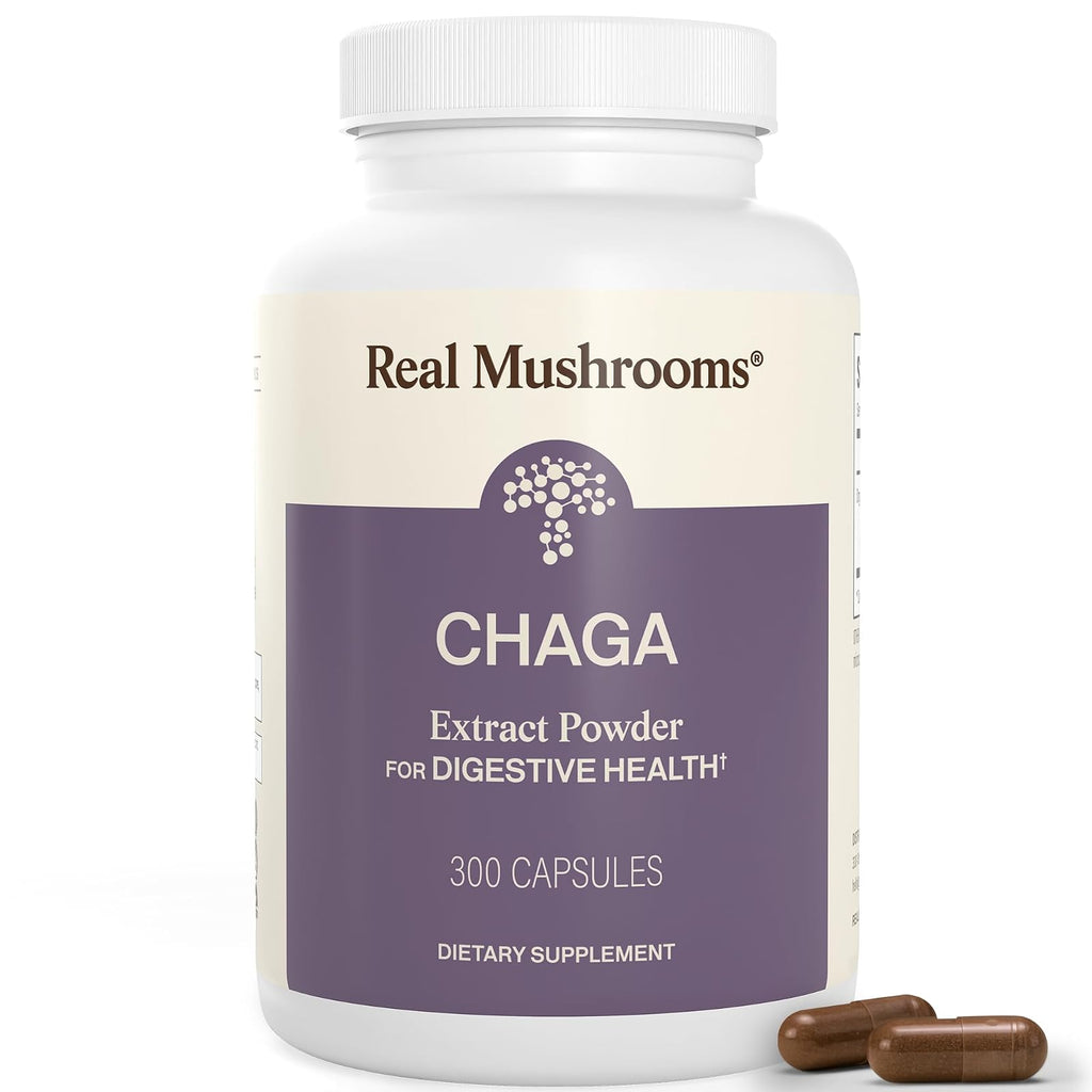 chaga mushroom health benefits