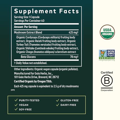 chaga mushroom health benefits