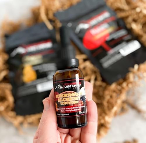 Chaga mushroom health benefits