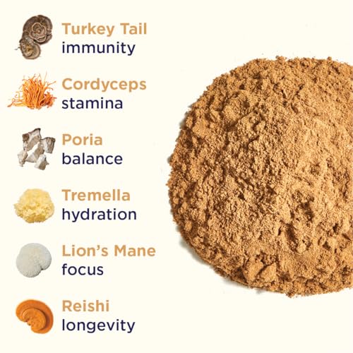 chaga mushroom health supplement
