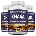 Chaga mushroom immune support capsules