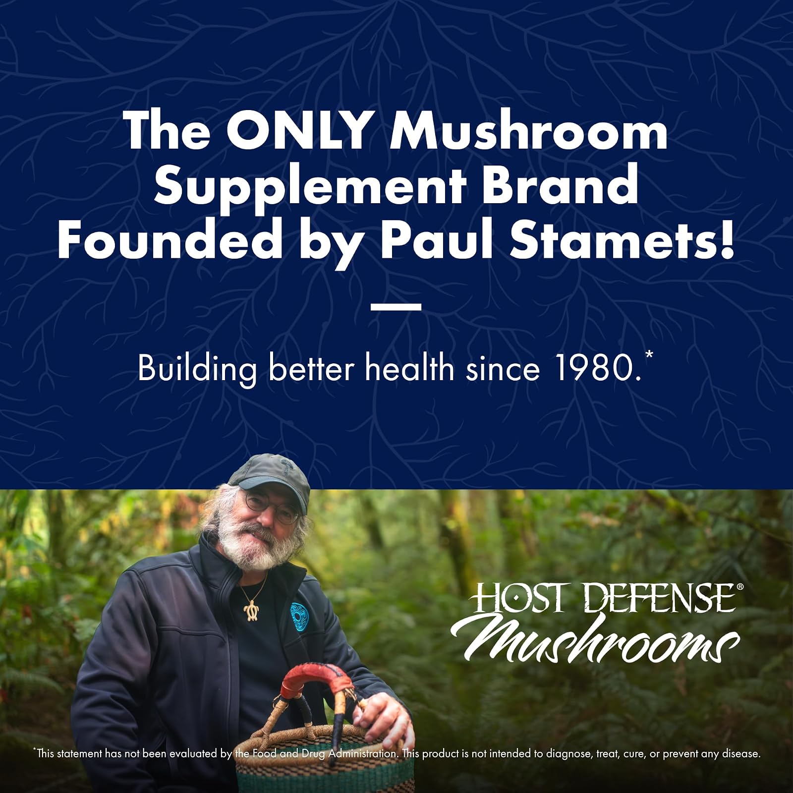 chaga mushroom immune support capsules