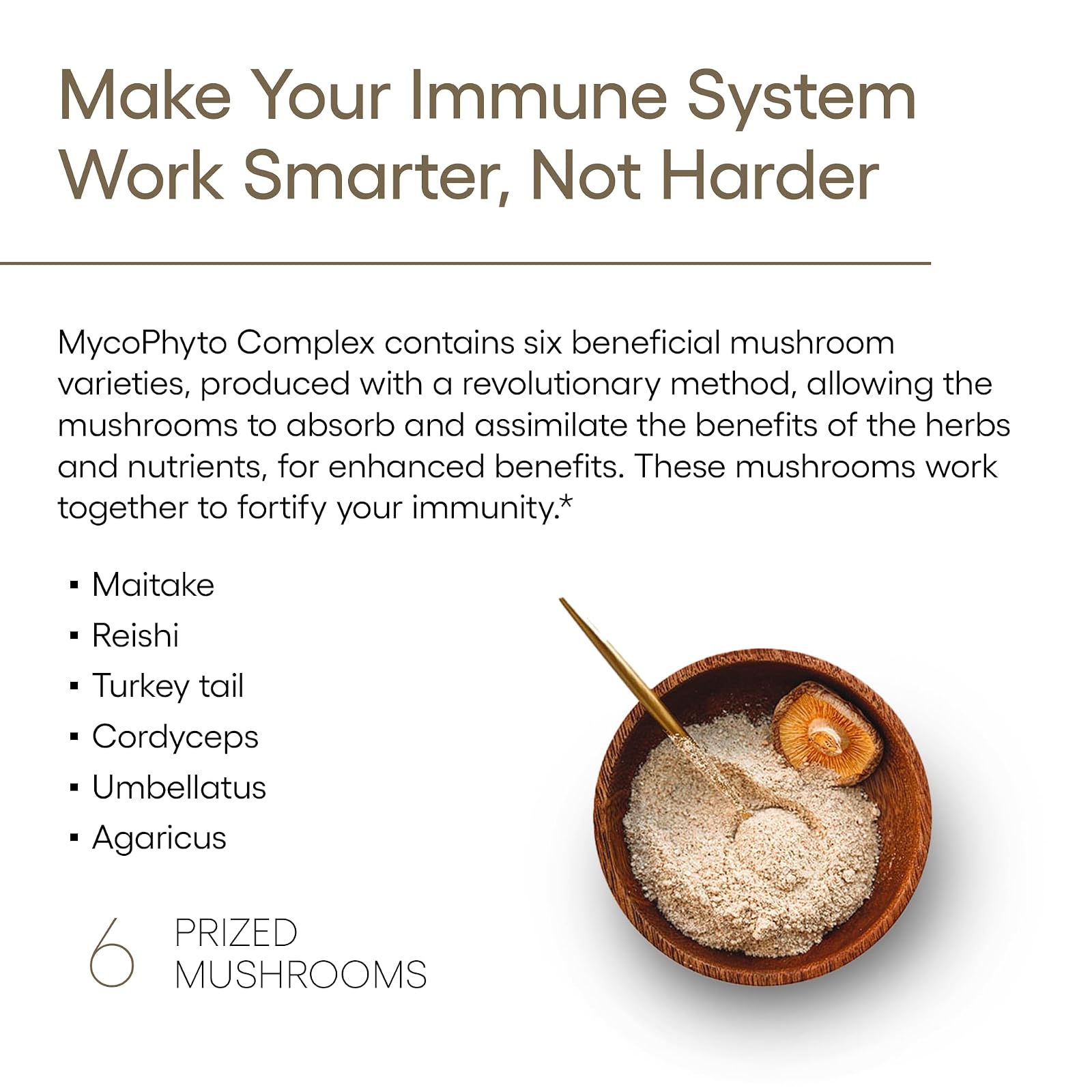 chaga mushroom immune support capsules