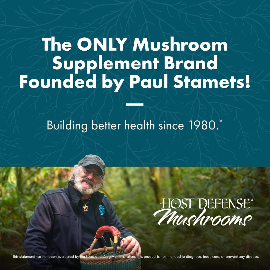 chaga mushroom immune support powder