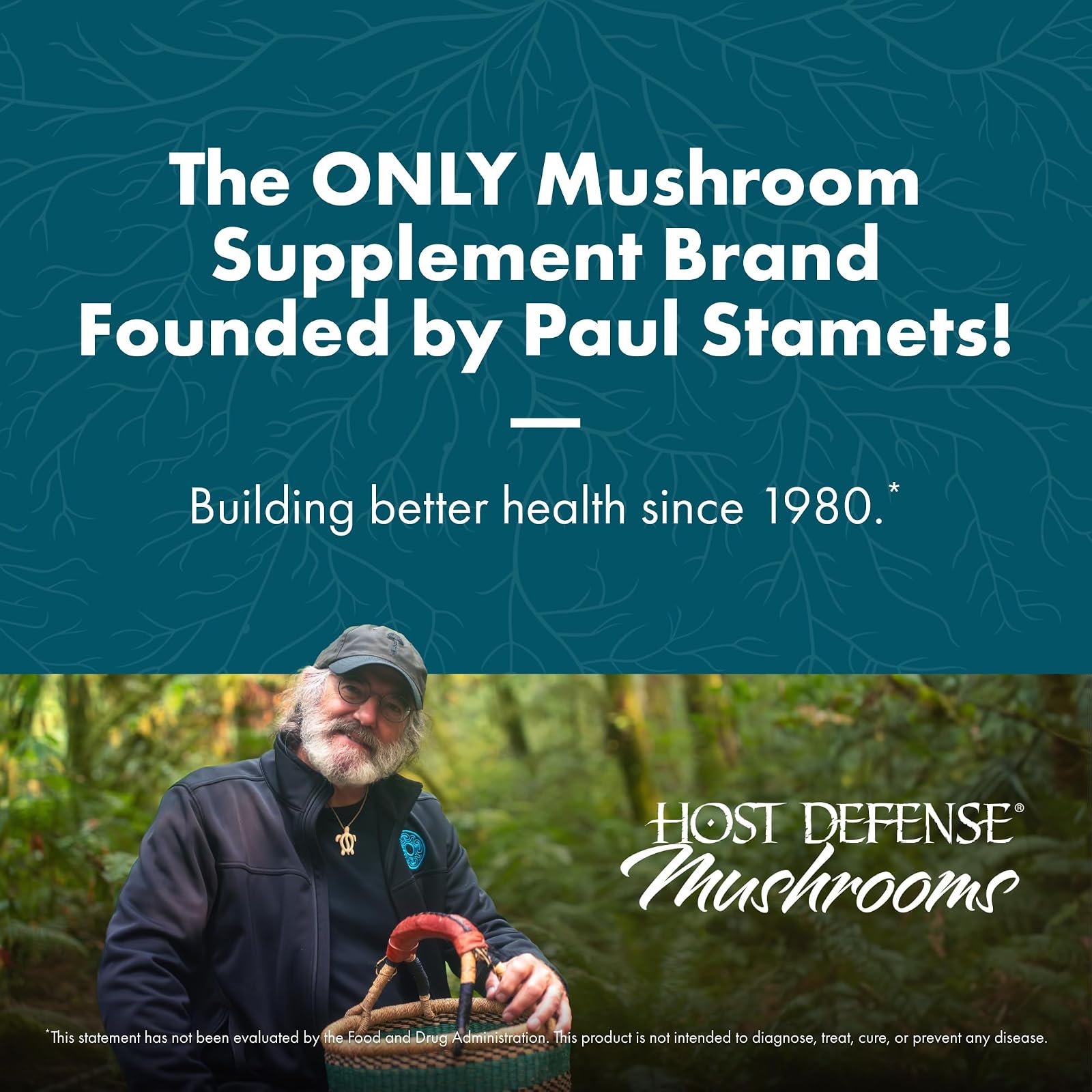 chaga mushroom immune support powder