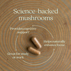 Chaga mushroom immune support supplement