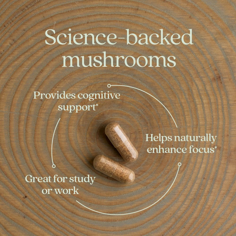 Chaga mushroom immune support supplement