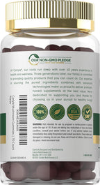 Chaga mushroom immune support supplement