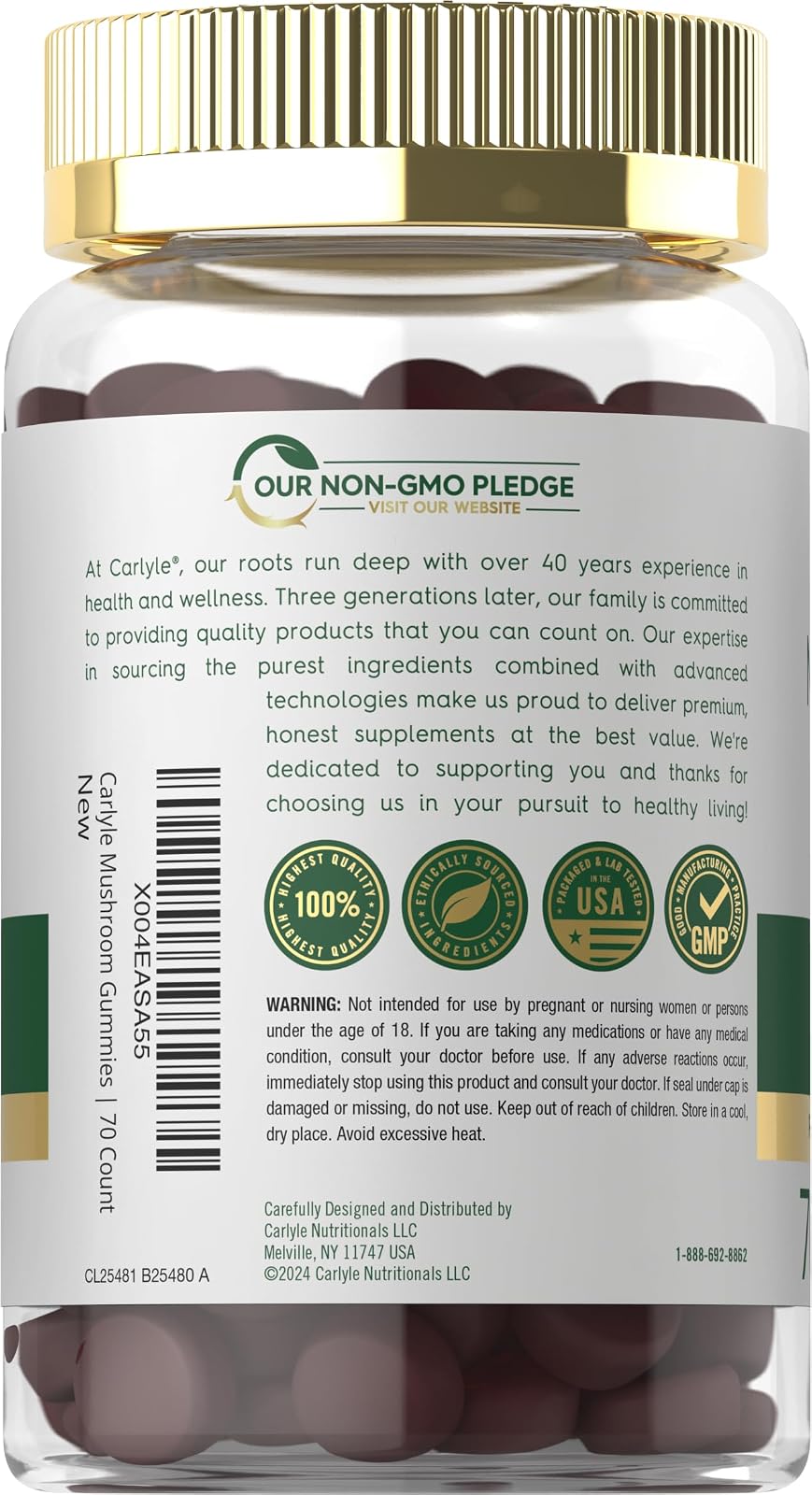 Chaga mushroom immune support supplement