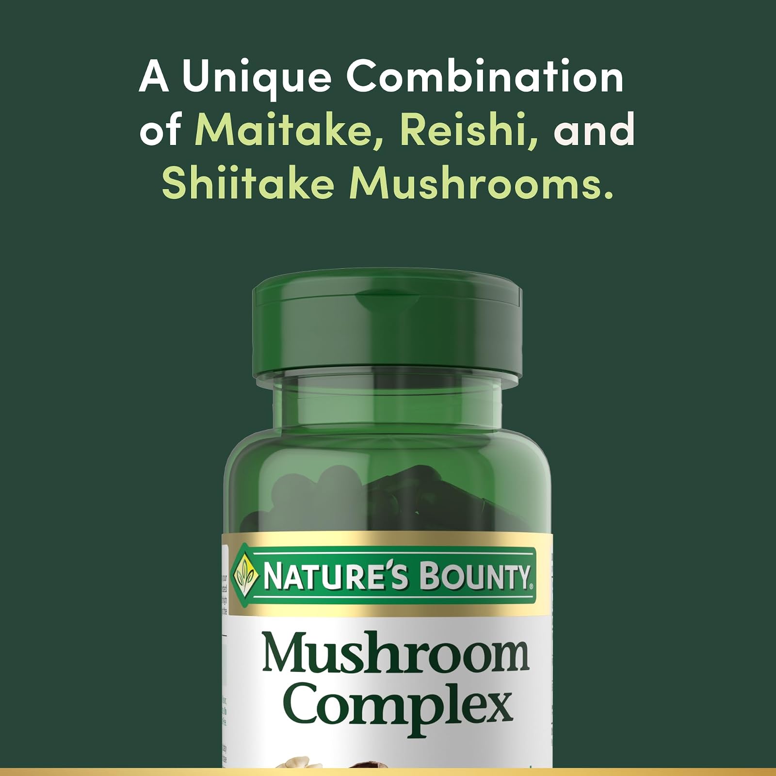 chaga mushroom immune support supplement