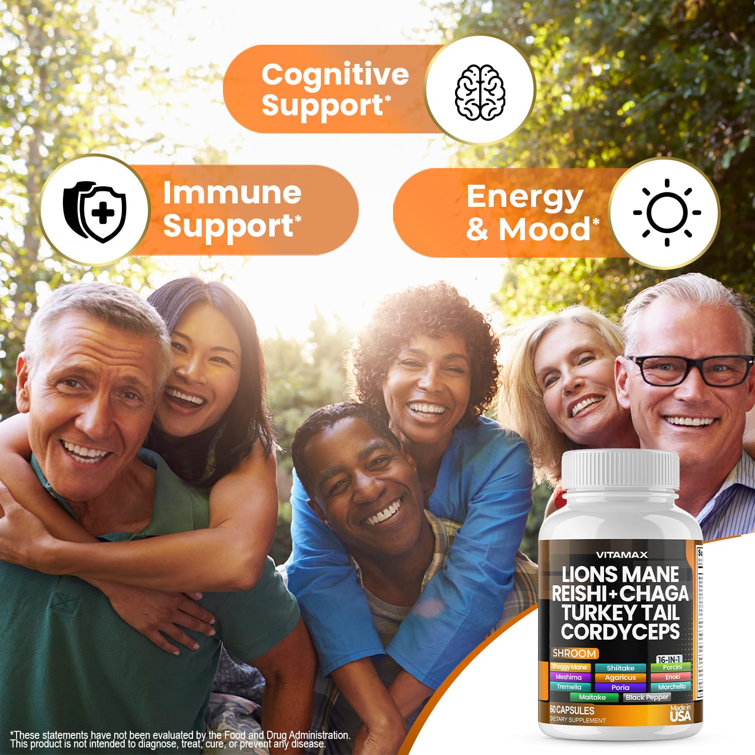 Chaga mushroom immune support supplement