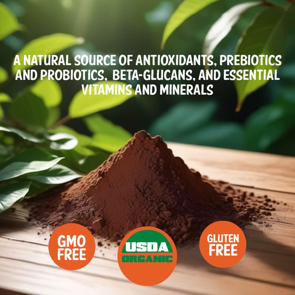 Chaga mushroom immune support