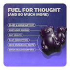 chaga mushroom immune support