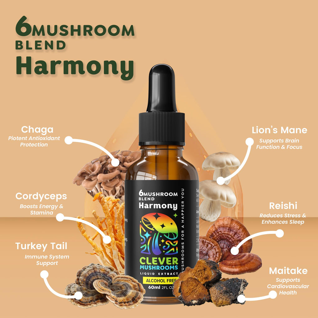 Chaga mushroom immune support