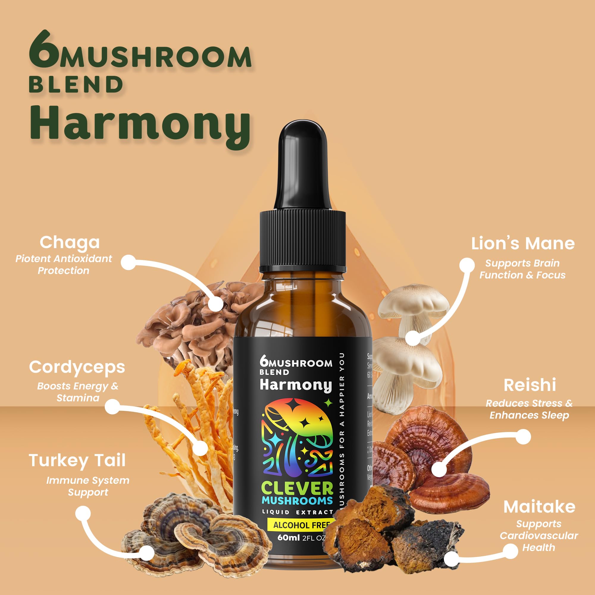 Chaga mushroom immune support