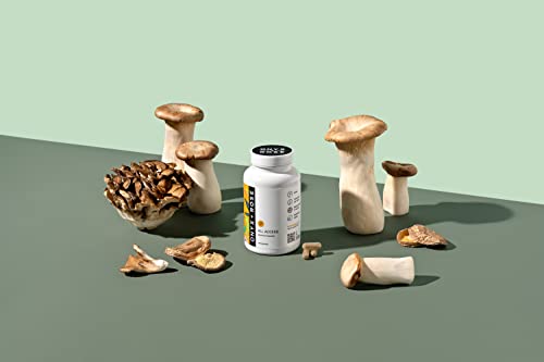 Chaga mushroom immune support