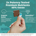 chaga mushroom infused chocolate bars