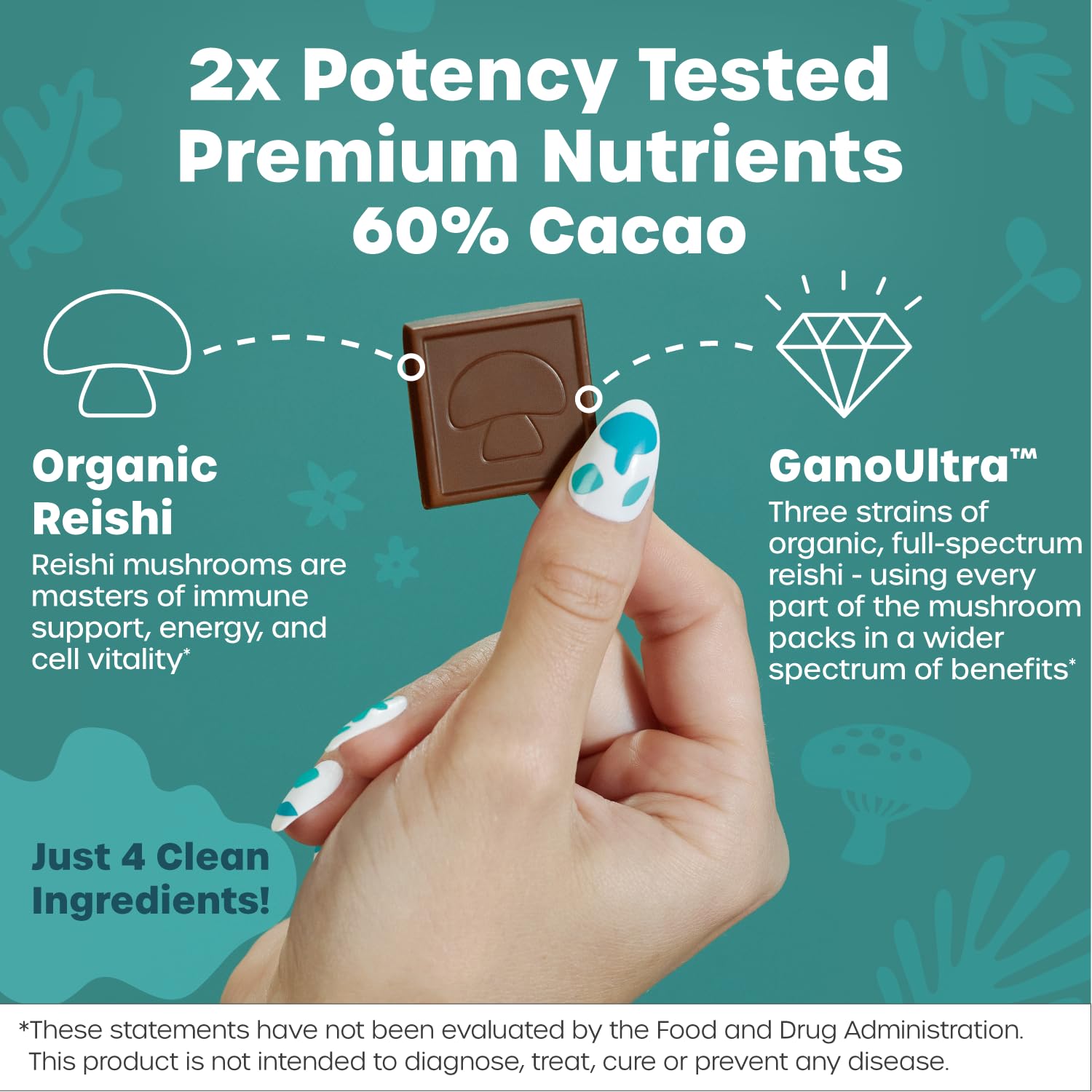 chaga mushroom infused chocolate bars