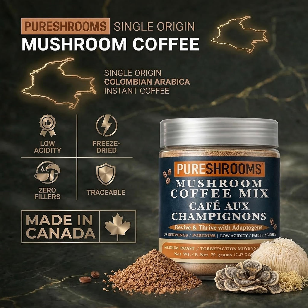 chaga mushroom instant coffee