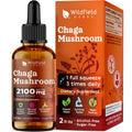 Chaga mushroom liquid extract benefits