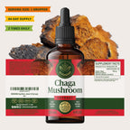 Chaga mushroom liquid supplement