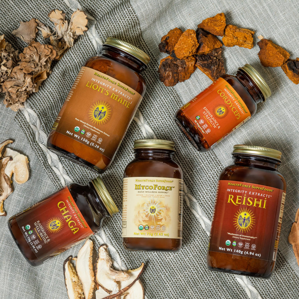 chaga mushroom powder for baking