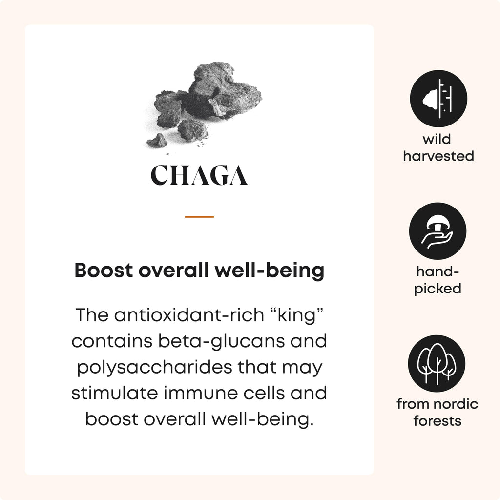 chaga mushroom powder for coffee