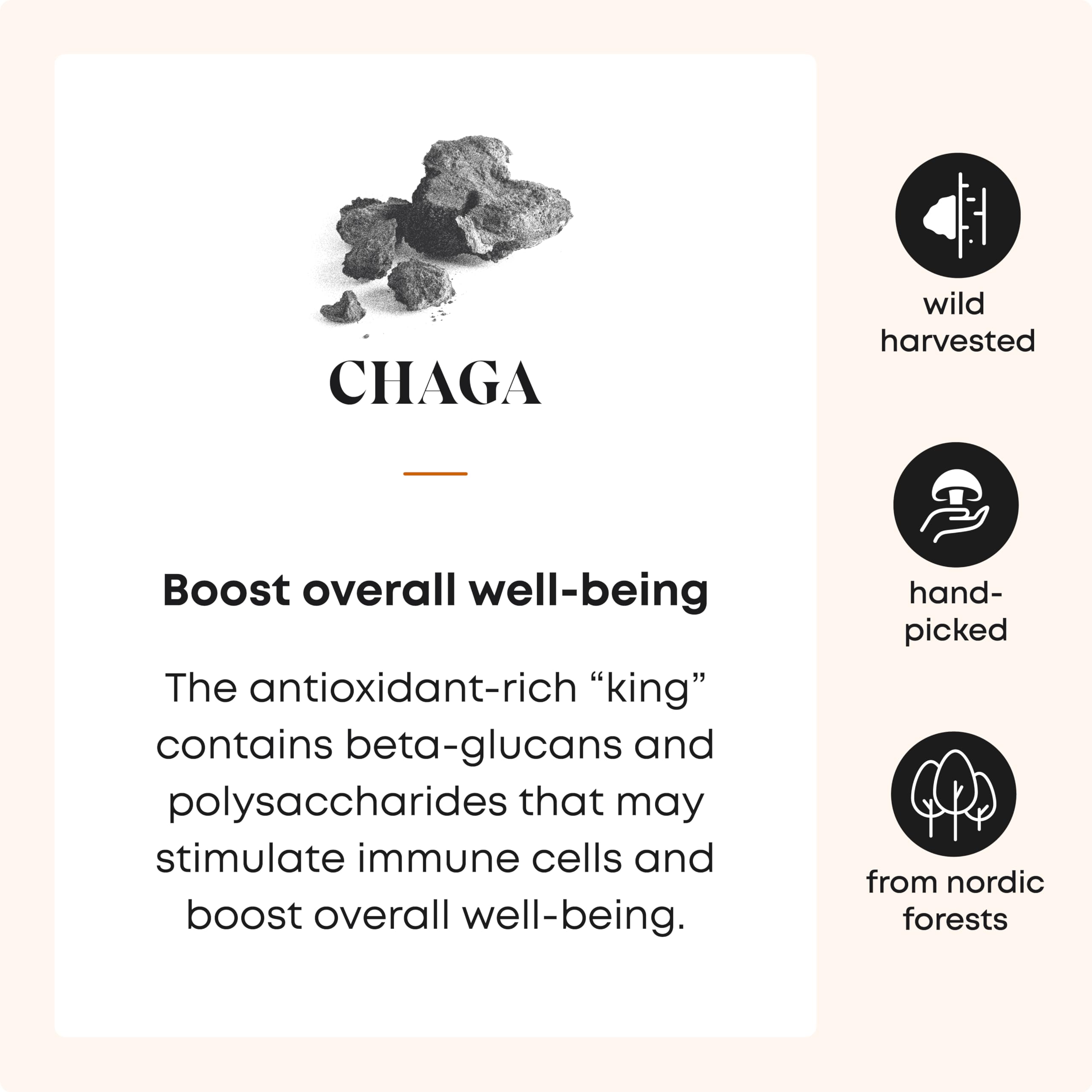 chaga mushroom powder for coffee